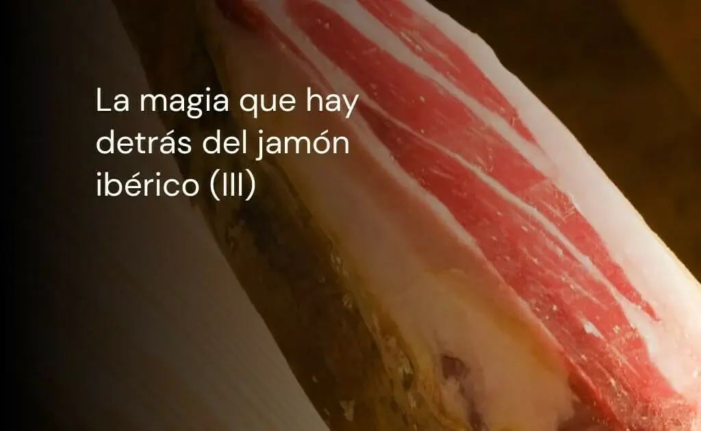 Cómo Elegir, Cortar y Presentar el Jamón Ibérico Perfecto